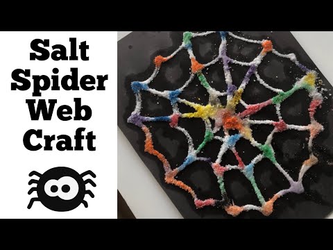 Salt Spider Web Craft 🕷