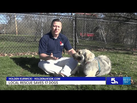 5 On Your Side at 10 - April 2, 2023 (Full Broadcast)