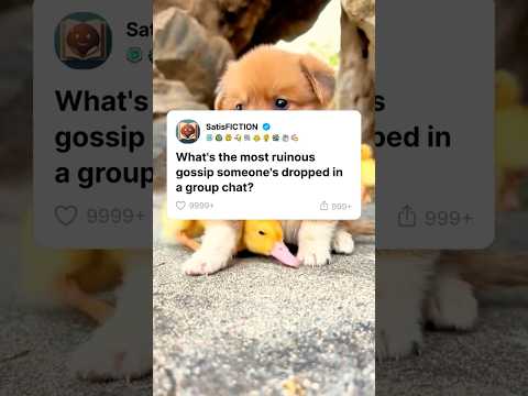 What's the most ruinous gossip someone's dropped in a group chat?
