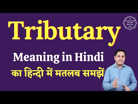Tributary meaning in Hindi | Tributary ka matlab kya hota hai | English vocabulary words