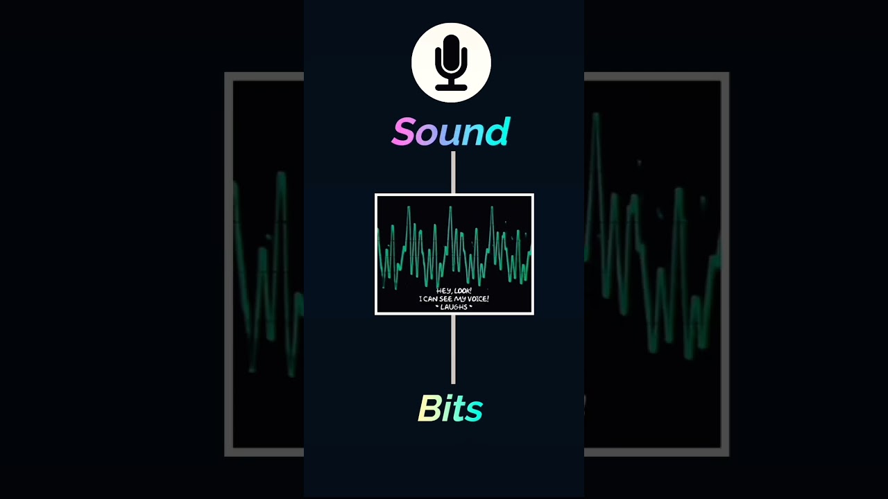 How vid, img and and sound can be stored in binary?