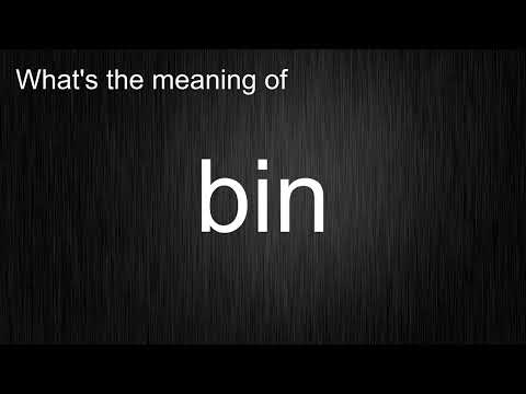 What's the meaning of "bin", How to pronounce bin?