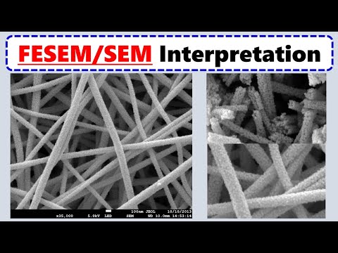 How to Interpret SEM Images?