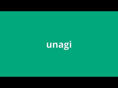 what is the meaning of unagi