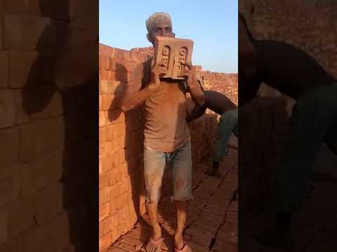 Red Brick - Industrial Red Bricks Latest Price, Manufacturers & Suppliers