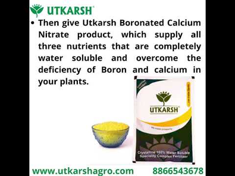 Water Soluble Fertilizers at Best Price in India
