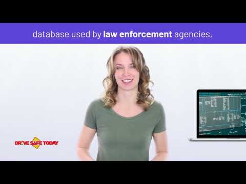 Check Out Your Driving Record Online! [FL]