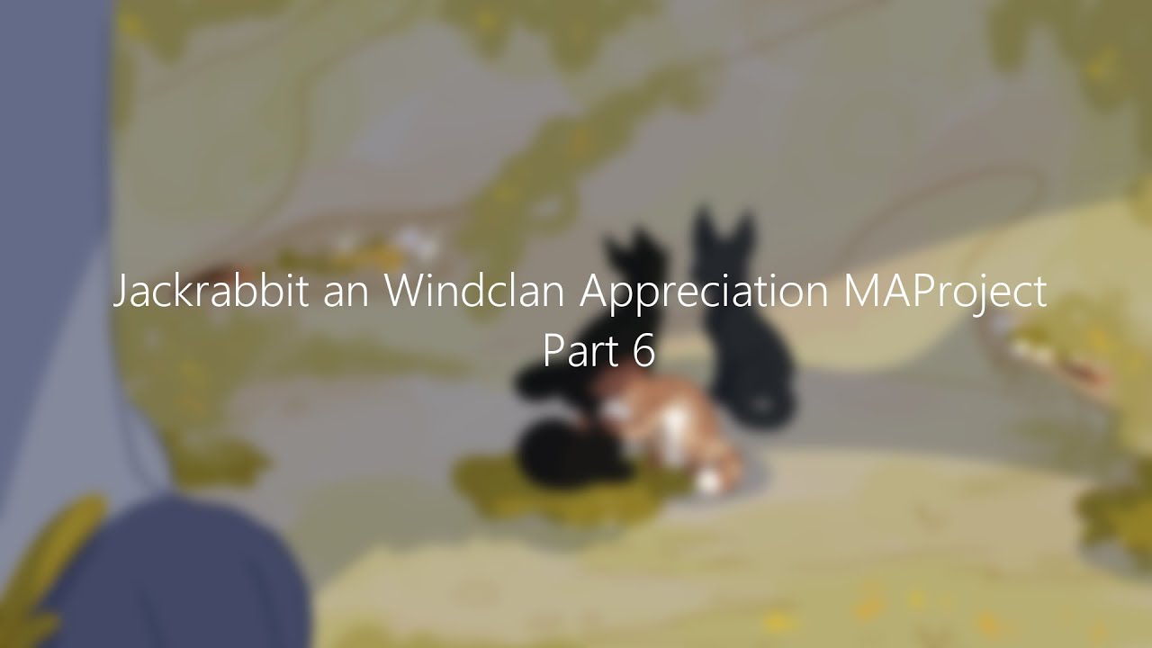 Jackrabbit | WindClan Appreciation MAP Part 6
