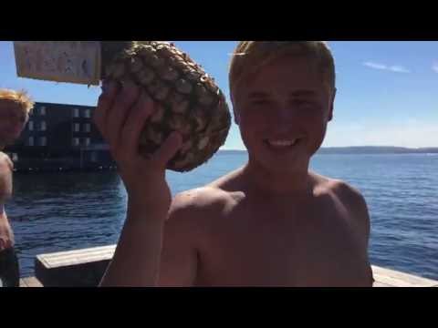How to Take a Pineapple from Hawaii on the Plane