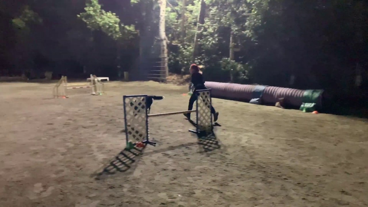 Sora Agility Training 1/2020