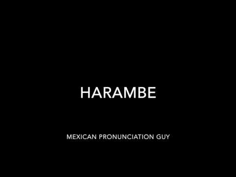 How to Pronounce Harambe