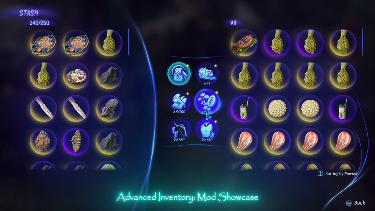 Advanced inventory showcase By Fe'eNinamu