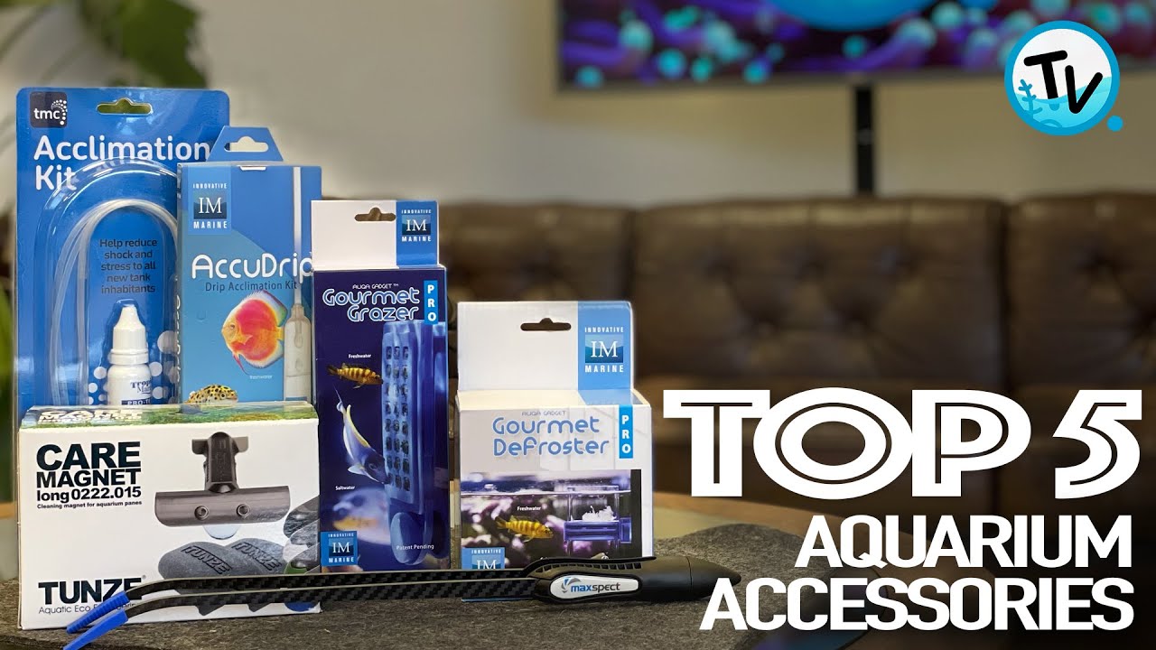TOP 5 AQUARIUM ACCESSORIES