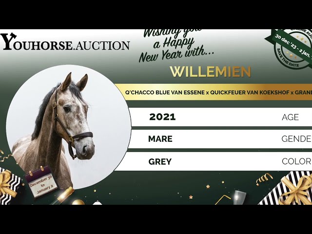 Youhorse.auction | Willemien