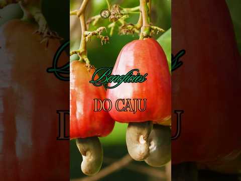 Caju: Fruta Tropical Rica em Vitamina C e Sabor Brasileiro!