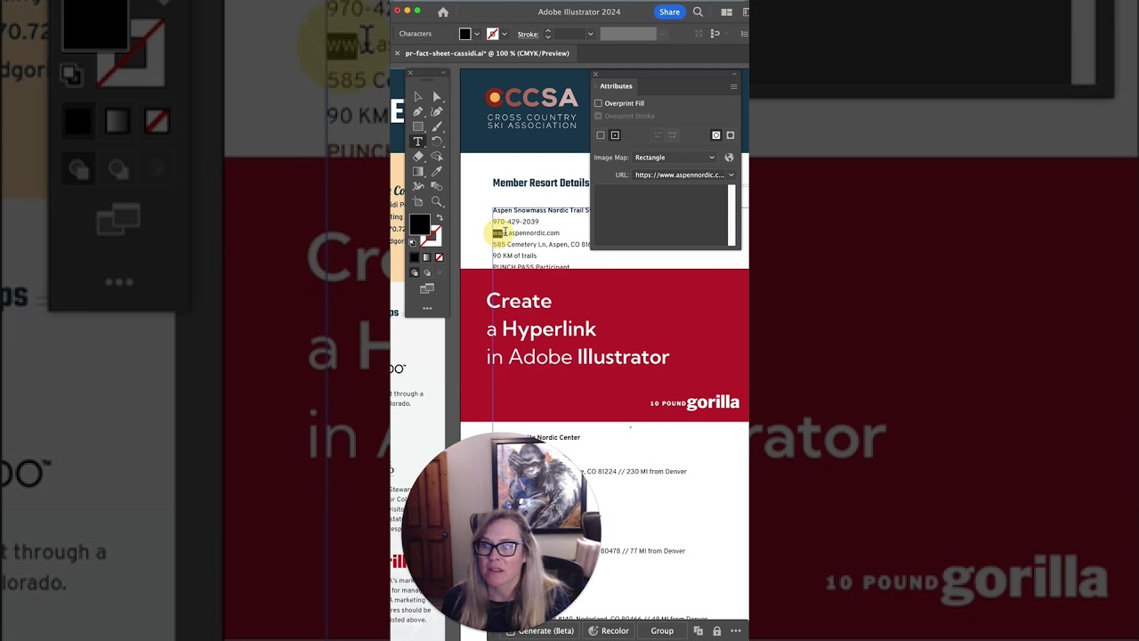 Create a Hyperlink in Adobe Illustrator #illustrator #graphicdesign #hyperlink  #pdf