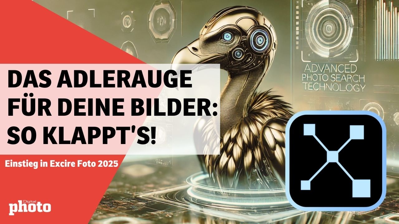 Excire Foto 2025 einfach erklärt: Deine besten Bilder in Sekunden finden!
