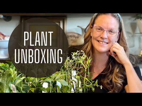 PLANT UNBOXING From Bluestone Perennials 🌺 || Perennial Garden || Online Plant Haul 2022 || Zone 8