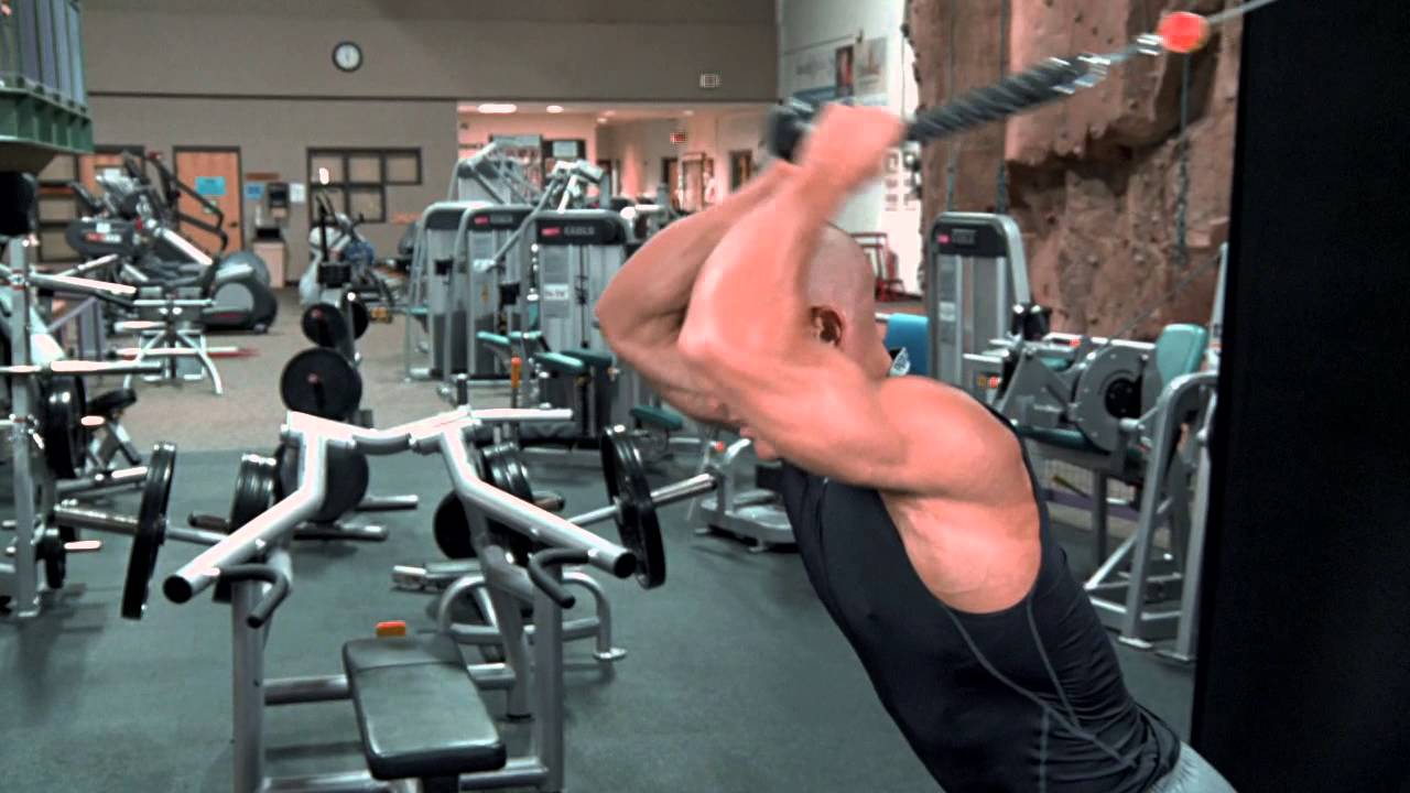 Overhead Cable Tricep Extension