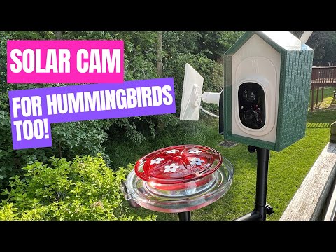 HONEST Review: Kingsyard Titto Solar Smart Bird Feeder with Camera (Hummingbird + App Test!)