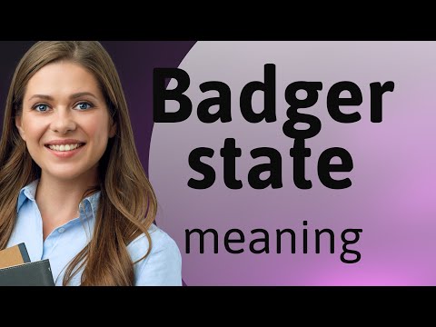 Badger state | BADGER STATE definition