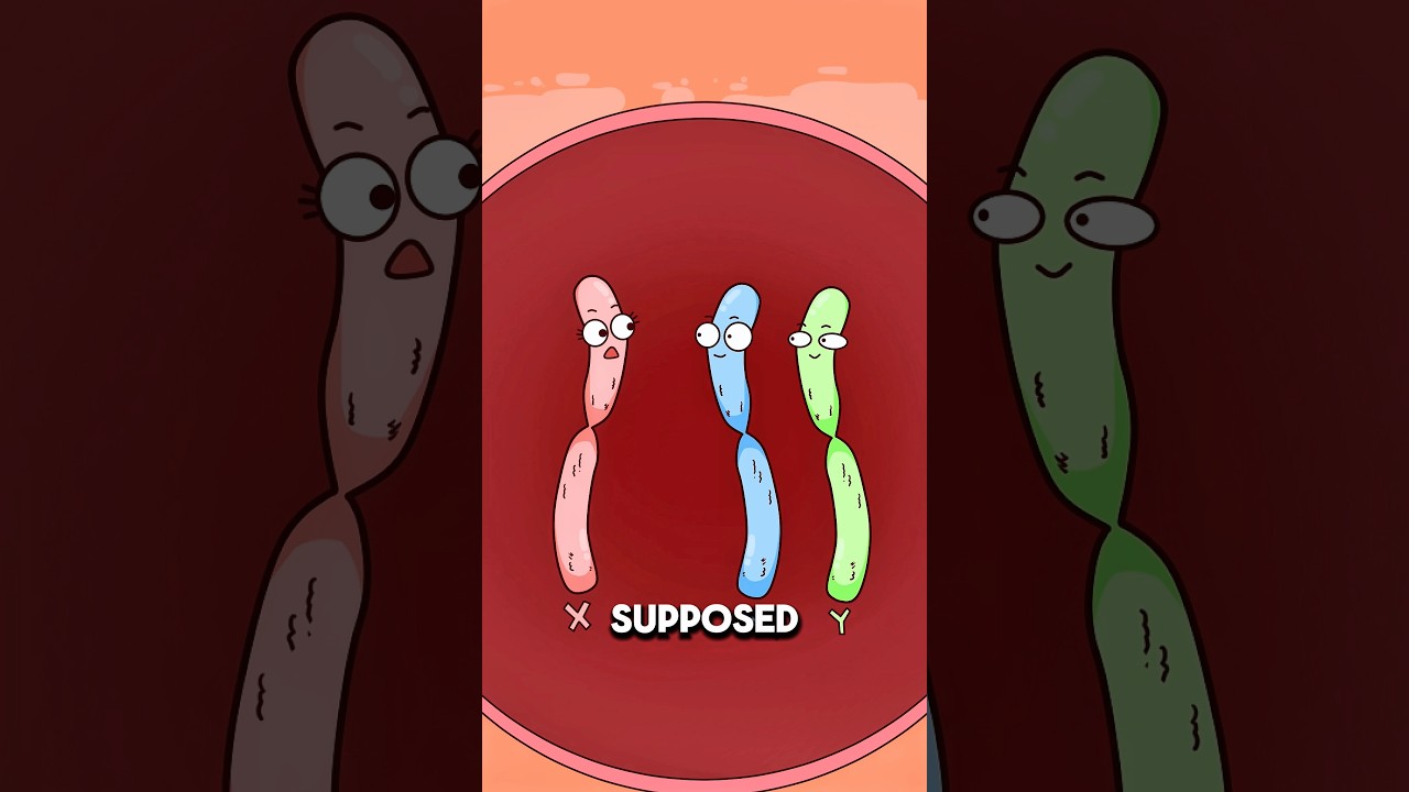 Why Some Boys Develop More Feminine Traits ⚠️🧬..!!#e2dhealth #animation #2dshow #fypシ #health