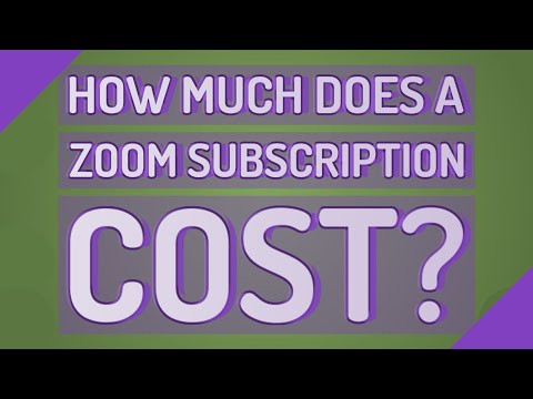 How much does a zoom subscription cost?