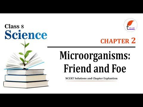 NCERT Solutions for Class 8 Science - Chapter 2