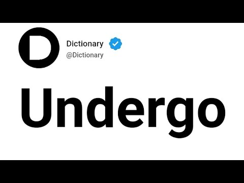 Undergo Meaning In English