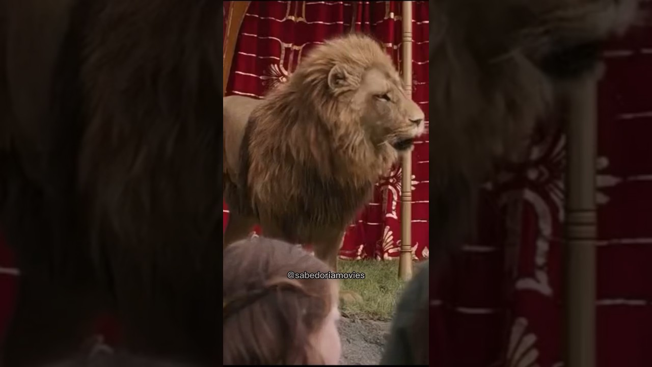 Eu estava lá quando foi escrita #cena #narnia