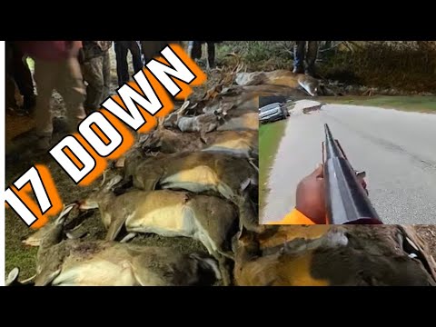 2022 Deer W/Dogs Season Highlights (15+ Kills On Camera)