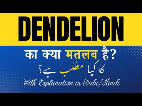 Dandelion Meaning in Hindi | 'Dandelion Ka Kya Matlab Hota Hai' Hindi/Urdu Explanation Included