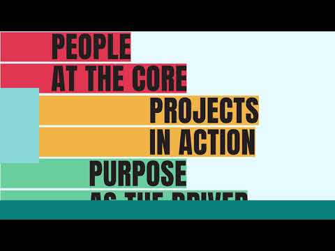 International Partnerships for Sustainable Development: Annual Report 2020