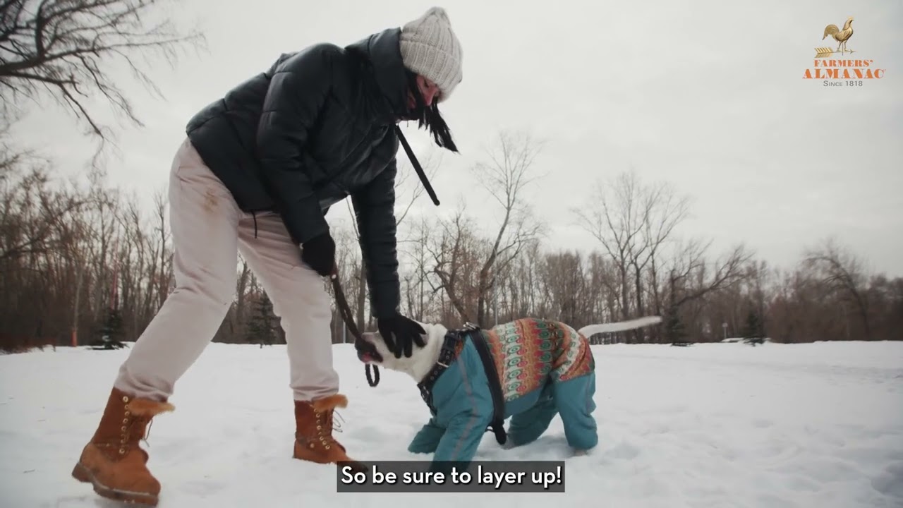 Farmers' Almanac Winter Weather Forecast 2025 - 2026