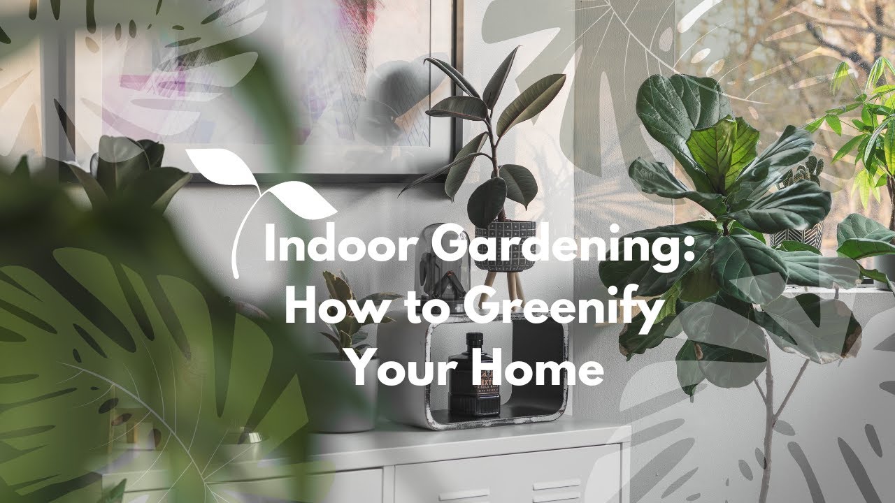Indoor Gardening How to Greenify Your Home