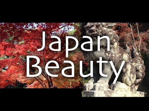 Japan • Api Hemi