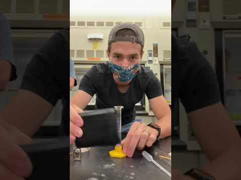 Graduated Cylinder