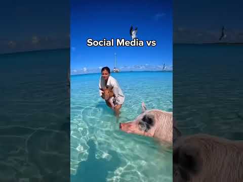 Social Media Expectations vs Reality Part 1 ???? #travel #explore #nature #fyp #shorts #adventure
