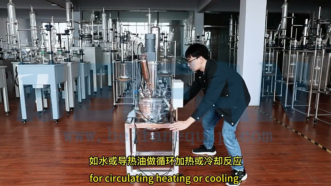 20L Jacketed Stainless Steel Reactor