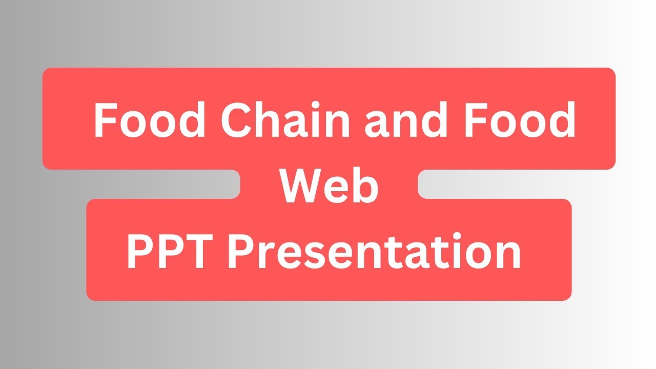 Food Chain And Food Web PPT Presentation Seminar Download Free