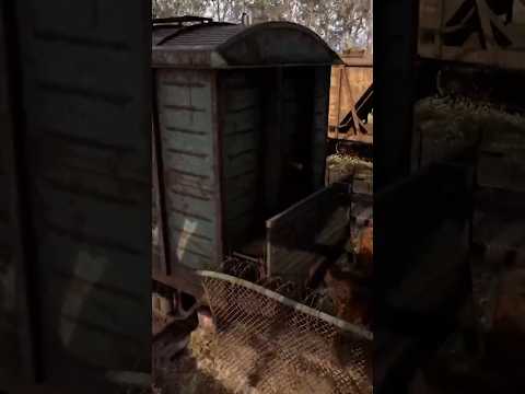 How to get to Prypiat at the start of the game Patch 1.4 STALKER 2 #heartofchornobyl #stalker2