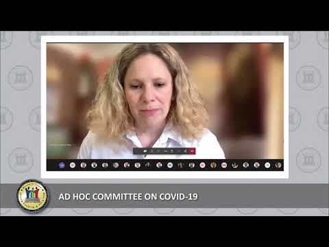 Ad Hoc Committee on COVID-19, 29 December 2020, 14:30
