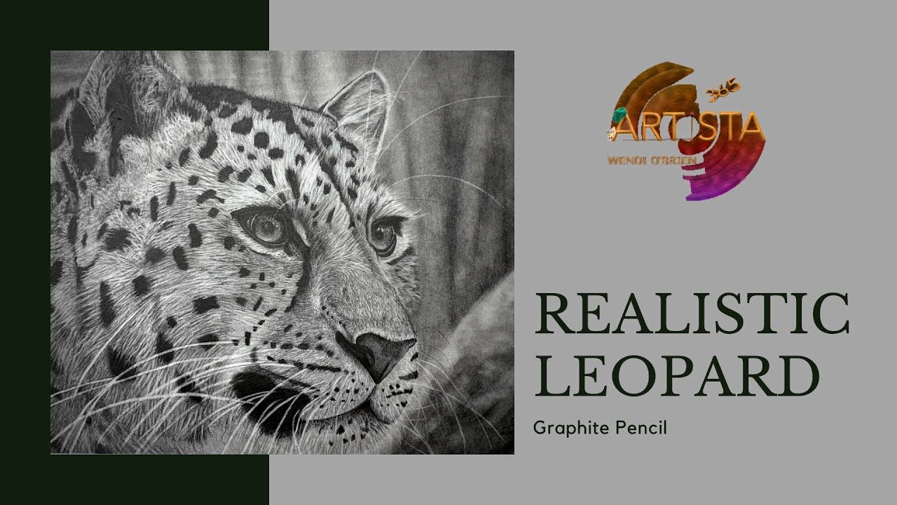 Realistic Leopard in Graphite