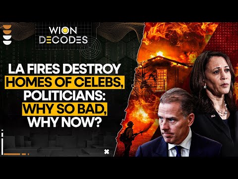 LA Fires: What Caused The Deadly, Fast-spreading California Wildfires? | WION Decodes