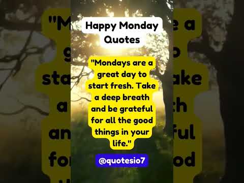 Best 5 Monday Motivation Quotes To Start Your Week