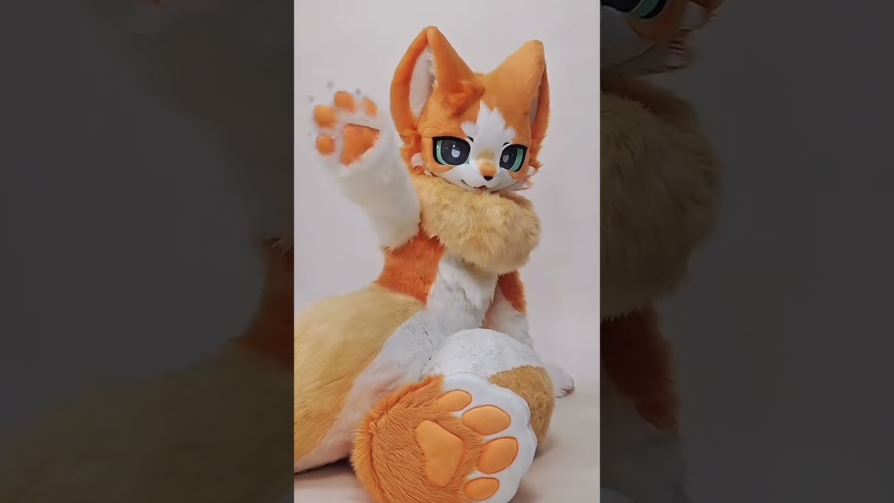 Sold handmade kemono fursuits on display #furry #fursuit #commission