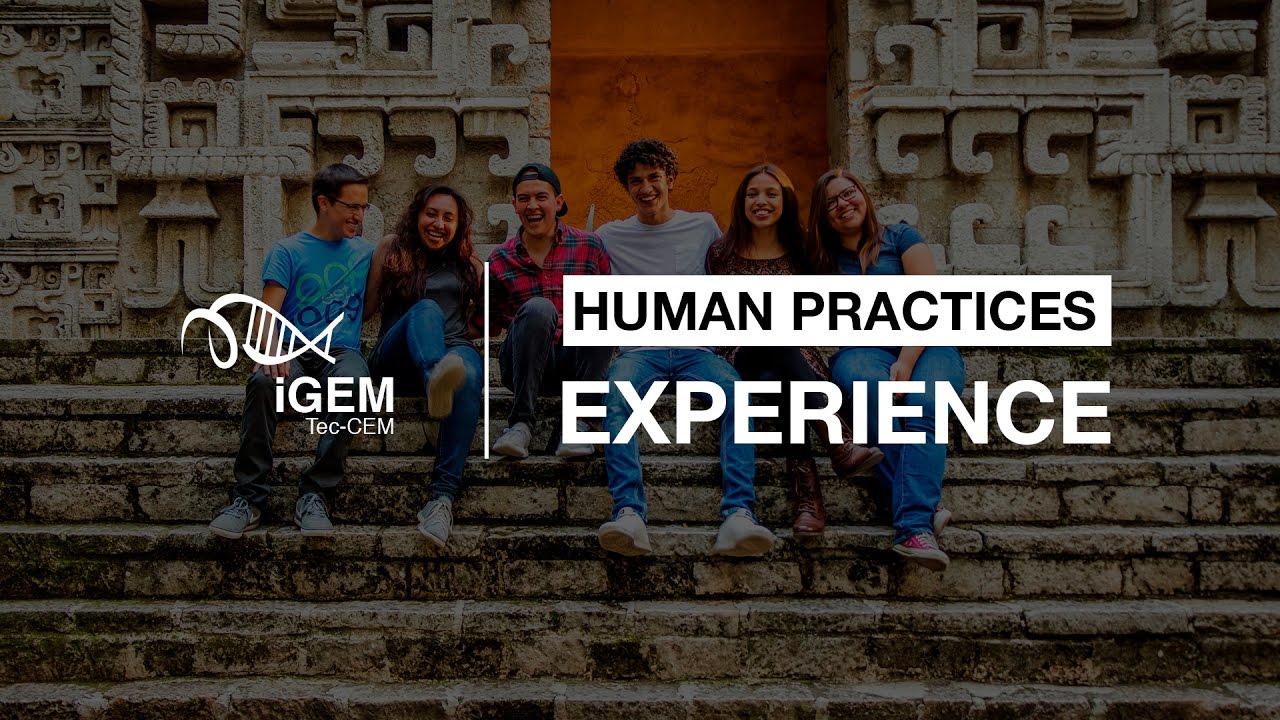 Human Practices: Experience