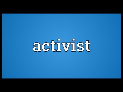 Activist Meaning
