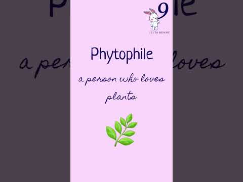 List of PHILE words || Use these to improve #vocabulary|| #explore #ielts #speaking #english #bands